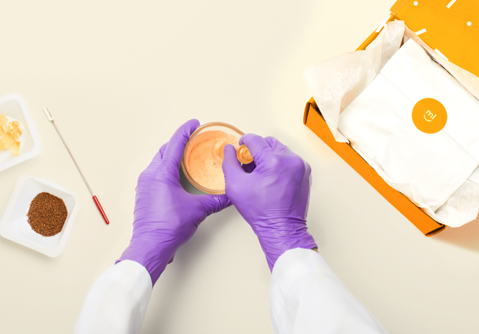 How to Choose the Right Pet Medication Flavoring