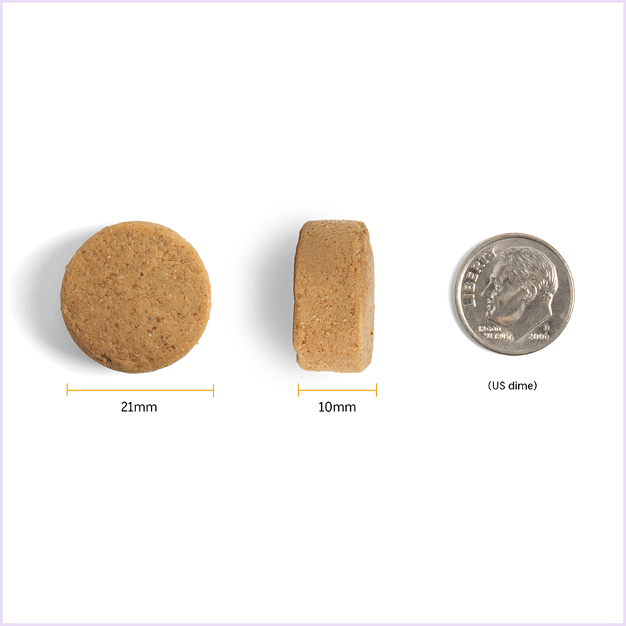 8 Types of Pet Medication Forms Mixlab Can Compound | Mixlab