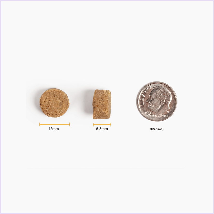 8 Types of Pet Medication Forms Mixlab Can Compound | Mixlab