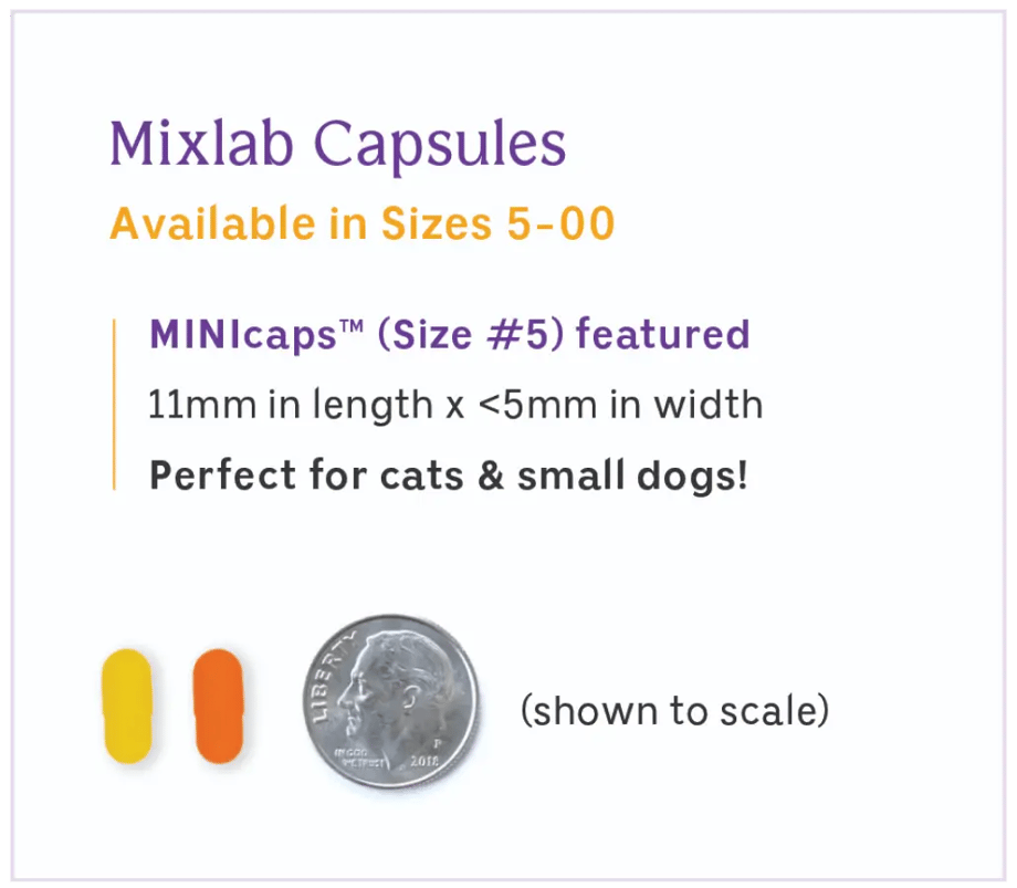 8 Types of Pet Medication Forms Mixlab Can Compound | Mixlab