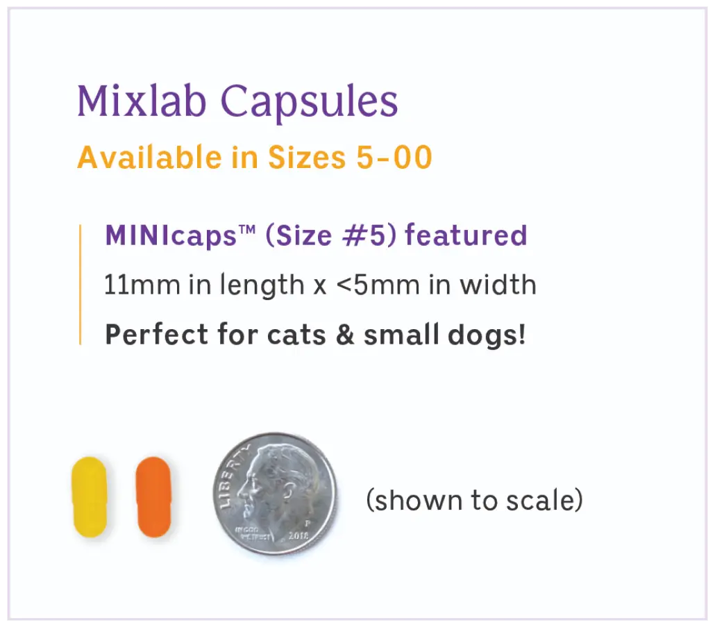 8 Types of Pet Medication Forms Mixlab Can Compound | Mixlab