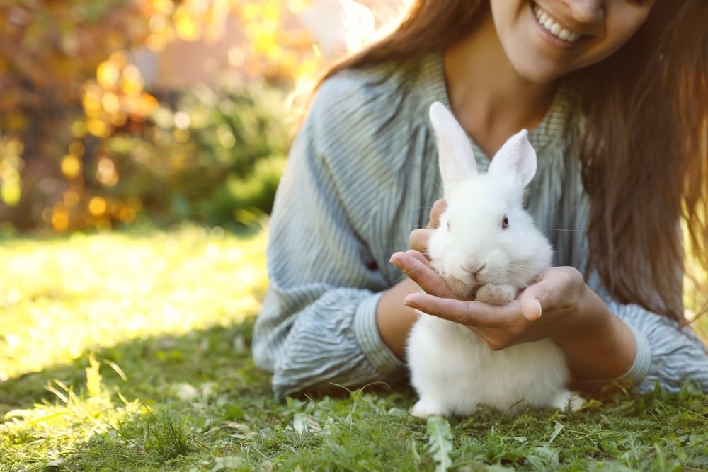 Intestinal Parasites in Dogs and Cats: The Most Common Types